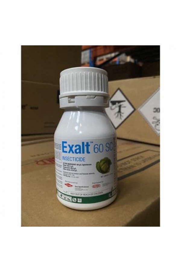 EXALT 250ML
Šifra: 4973 JM: KOM