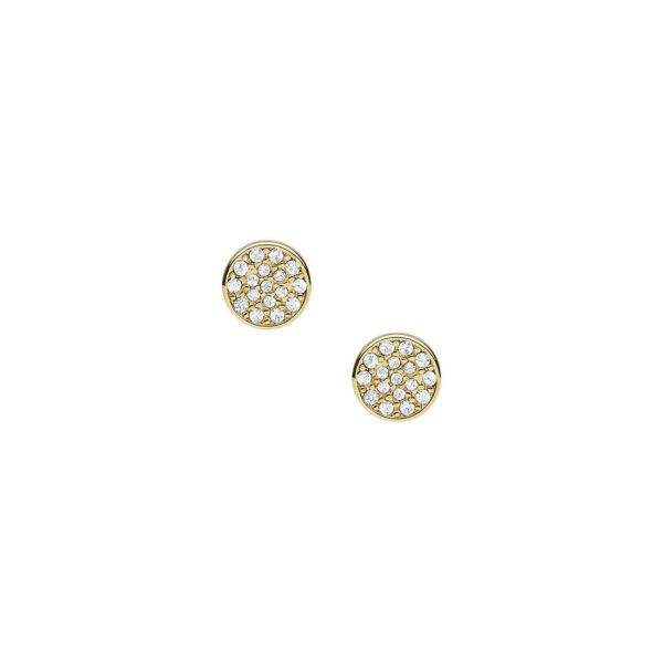 Fossil JOA00282710