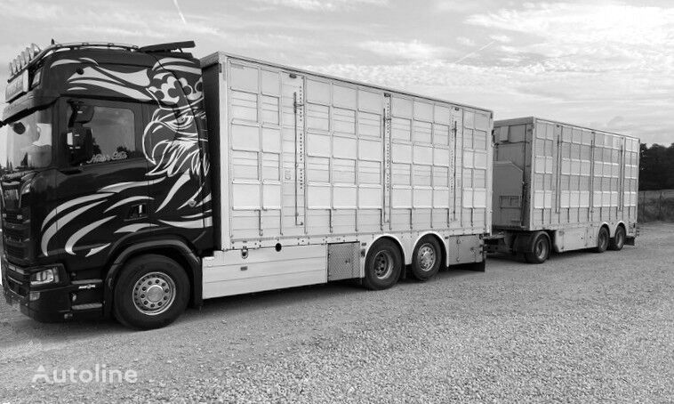 Scania S650 kamion za prevoz stoke + prikolica za prevoz stoke