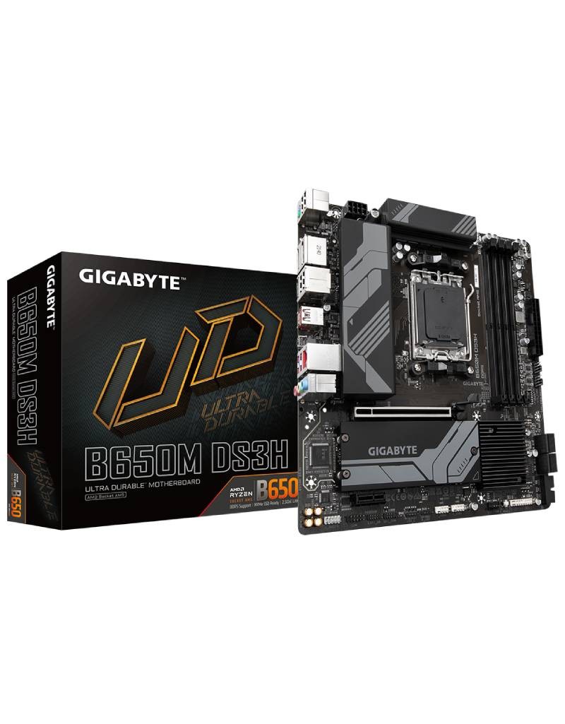 GIGABYTE B650M DS3H rev. 1.x