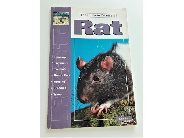 The Guide to Owning a Rat