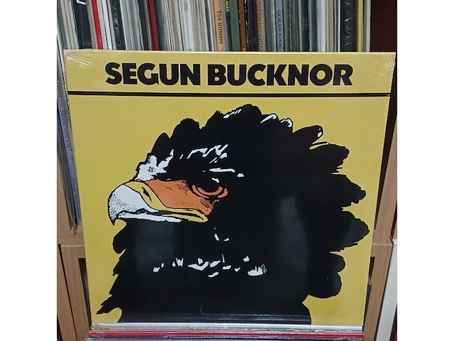 Segun Bucknor – Segun Bucknor