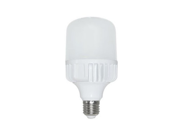 LED SIJALICA E27 30W BELA 6500