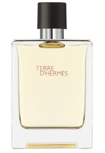 Hermes Terre D` Hermes M edt 100ml tstr