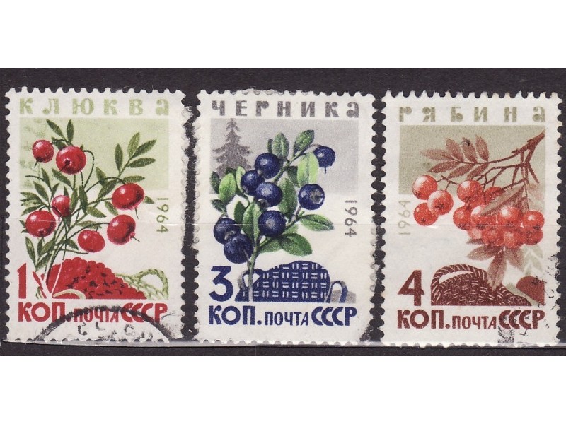 SSSR - bobićasto voće
