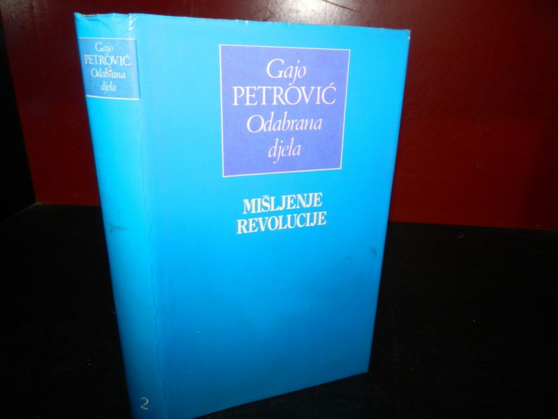 Mišljenje revolucije, Gajo Petrović