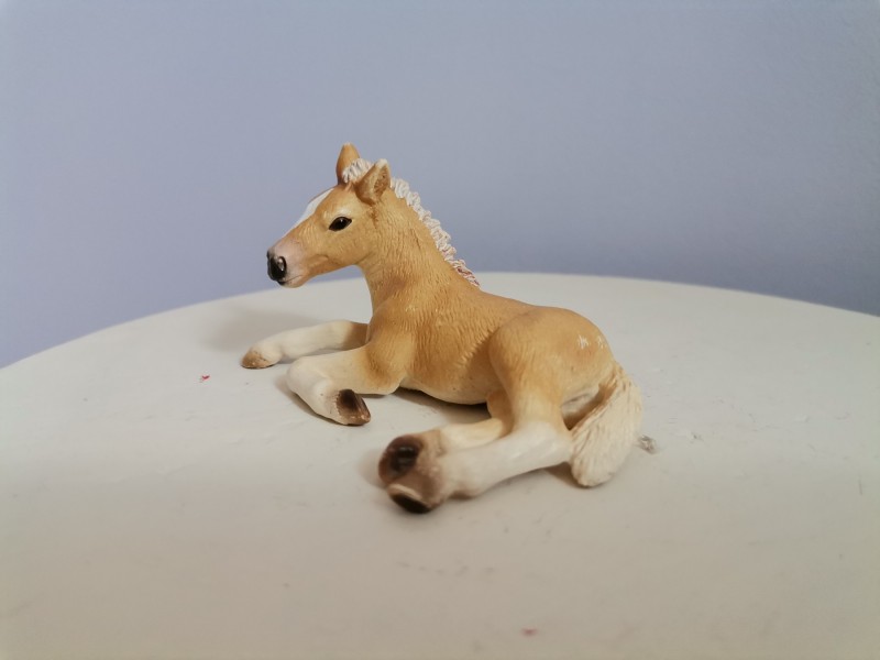 Schleich zdrebe