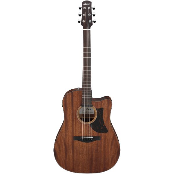 Ibanez AAD190CE-OPN Akustična ozvučena gitara Boja Open Pore Natural