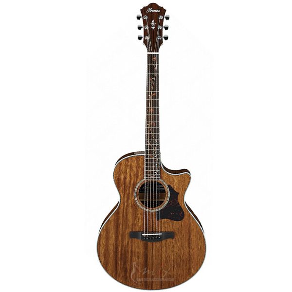 IBANEZ AE245-NT AKUSTIČNA GITARA BOJA NATURAL HIGH GLOSS