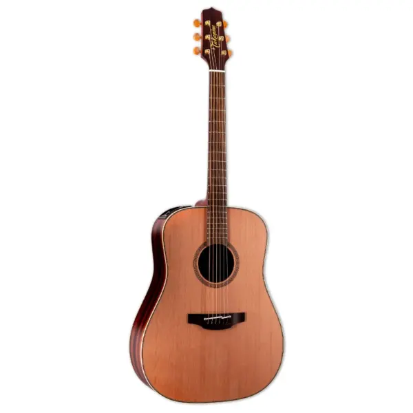 Takamine FN15 AR Akustična ozvučena gitara