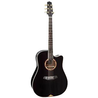 TAKAMINE NINJA LTD AKUSTIČNA OZVUČENA GITARA