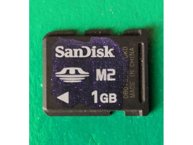 Memorijska kartica SanDisk M2 1GB