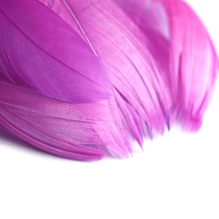 Dekorativno perje 190 kom | izaberite boju