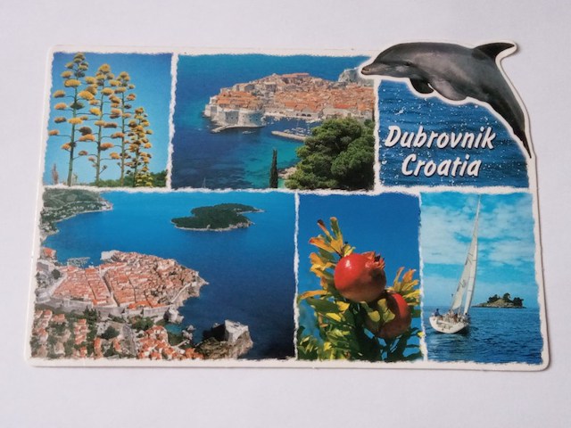 Dubrovnik - Životinja Delfin - Hrvatska - Putovala -
