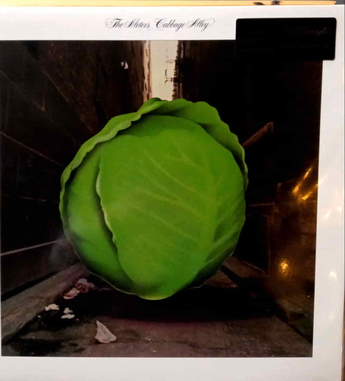 Meters-Cabbage Alley + 2