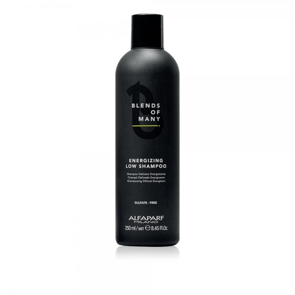 ALFAPARF BLENDS OF MANY Energizing šampon protiv opadanja 250 ml