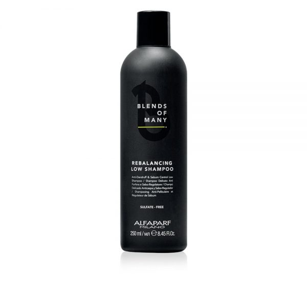 ALFAPARF BLENDS OF MANY Rebalancing šampon protiv peruti 250 ml