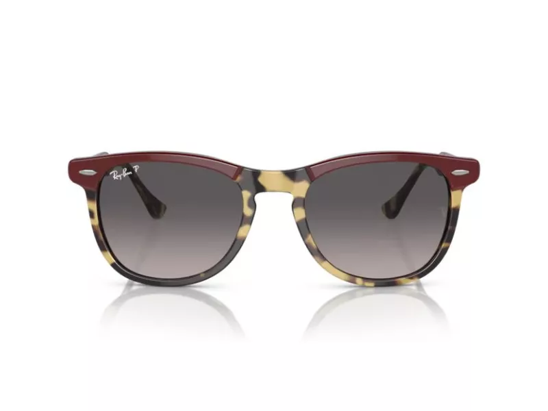 Ray-Ban Eagleeye Naočare za sunce RB 2398 1377M3