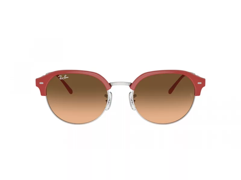 Ray-Ban Naočare za sunce RB 4429 67223B