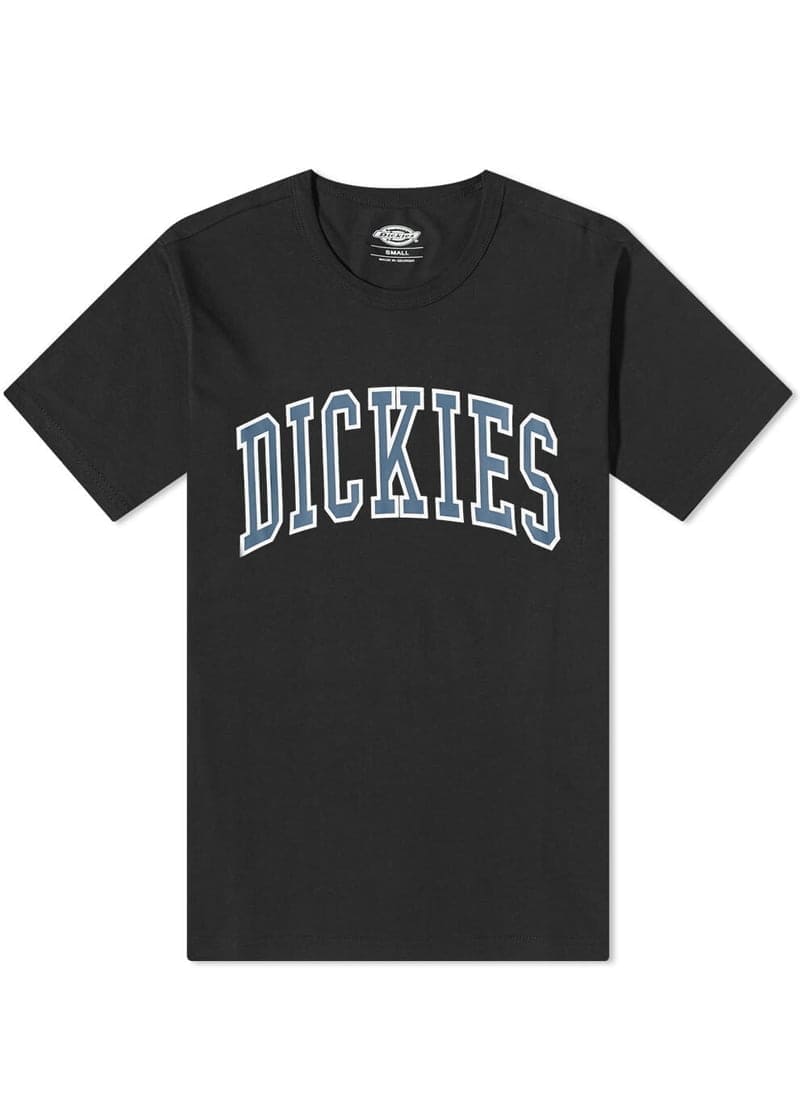 Dickies Aitkin – black/air force blue