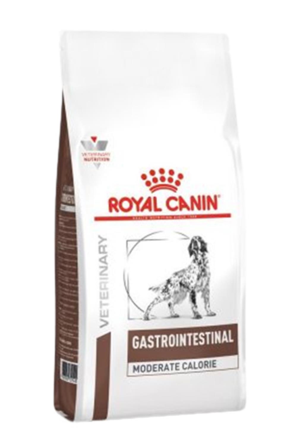 RC GastroInt Dog