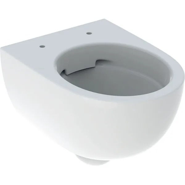 Geberit Selnova Compact konzolna WC šolja, Premium, smanjena dubina, skriveno učvršćenje, Rimfree