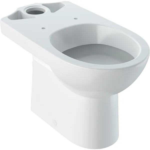 Geberit Selnova podna WC šolja za predzidni vodokotlić za monoblok, horizontalna račva, vidljivo kačenje