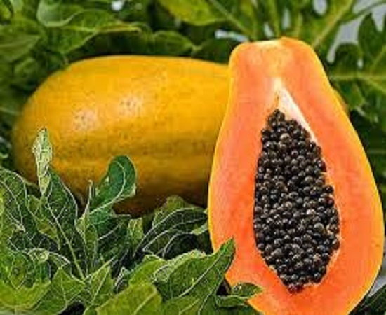 JUICY PAPAYA