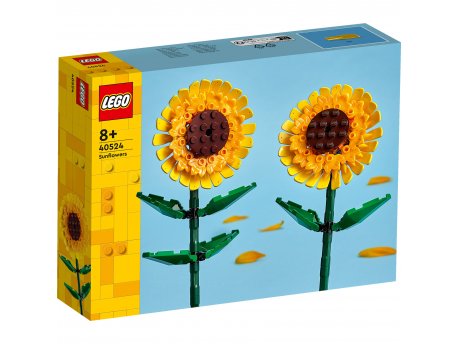 LEGO 40524 SUNCOKRETI