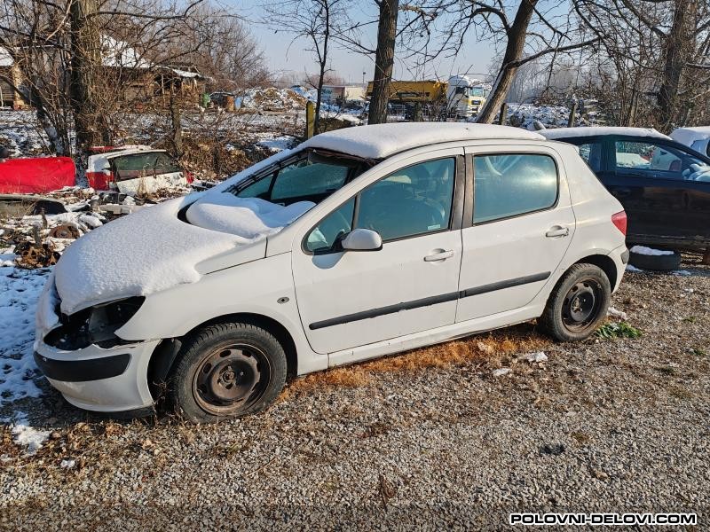 Peugeot 307 1.6 B Kompletan Auto U Delovima