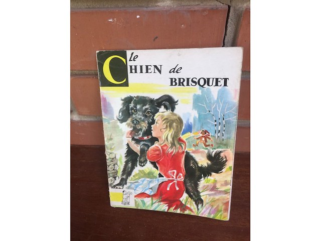 LE CHIEN DE BRISQUET  *