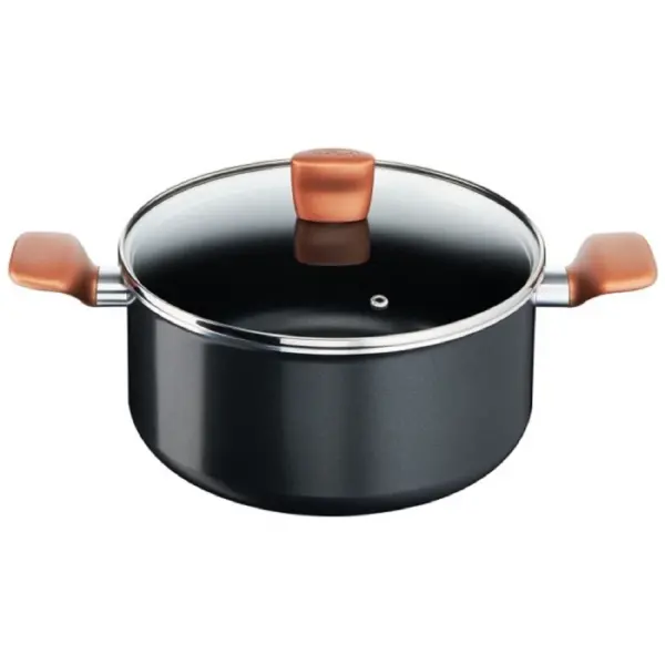 TEFAL Lonac Express sa poklopcem B2554602 24 cm