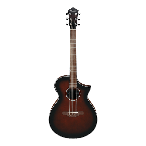IBANEZ AEWC11-DVS ozvučena akustična gitara