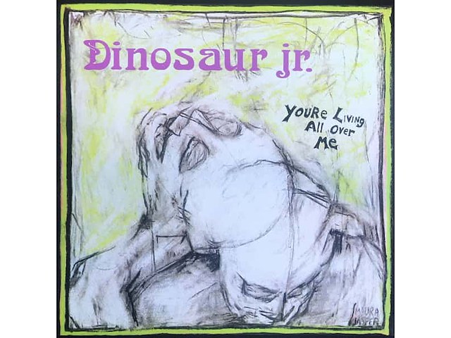 Dinosaur Jr. - You`re Living All Over Me