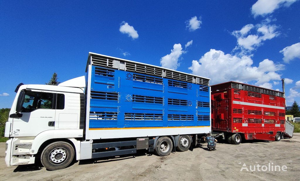 MAN MAN TGS 26.480 Pezzaioli kamion za prevoz stoke + prikolica za prevoz stoke