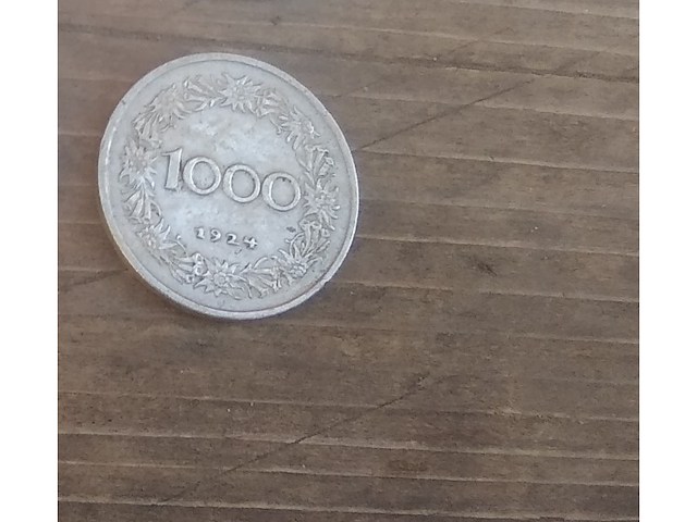 AUSTRIA 1000 G 1924