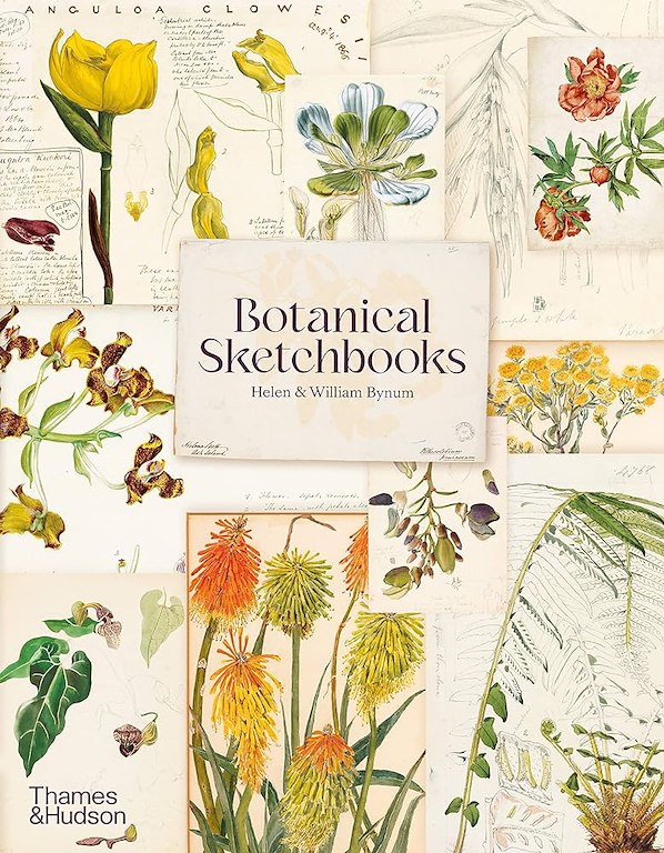 Helen & William Bynum – Botanical Sketchbooks