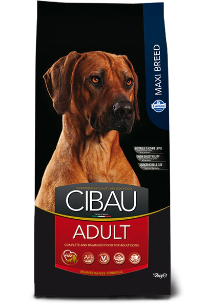 CIBAU - ADULT | Maxi