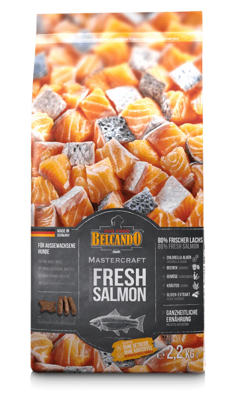 BELCANDO - MASTERCRAFT | Salmon