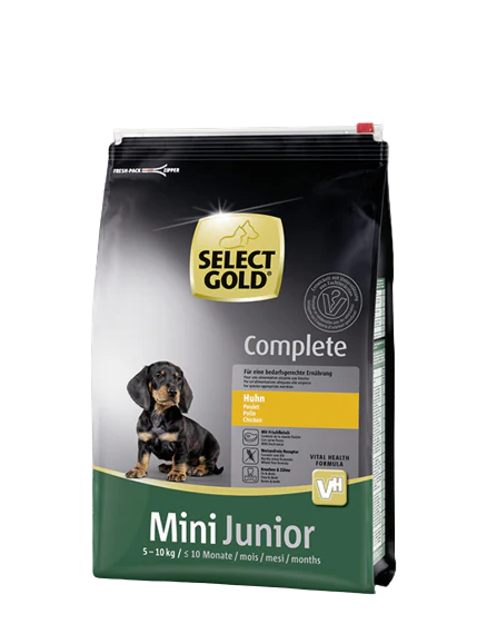 SELECT GOLD - JUNIOR | Mini