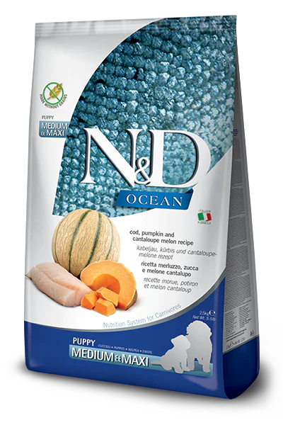N&D - OCEAN GF | Puppy Medium & Maxi - Cod & Cantaloupe Melon - Pumpkin