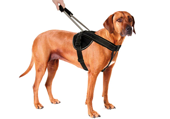 PATENTO PET - Harness Premium