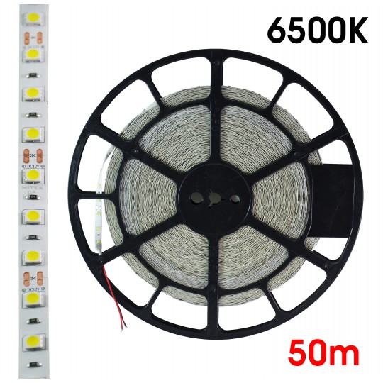 LED TRAKA 1M 4.8W/6500K IP20 MLR-2835/60 12V MITEA 69210