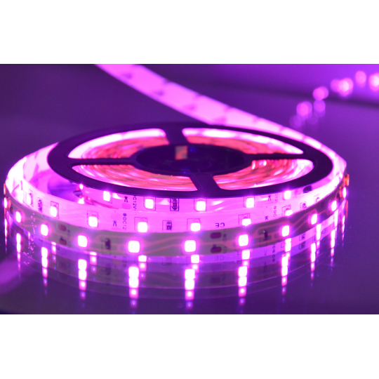 LED TRAKA 5M 4.8W/PINK IP20 MLR-2835/60 12V MITEA 69212