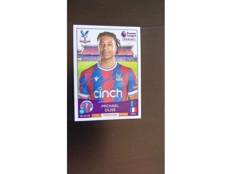 Premier league Panini 2023 broj 209