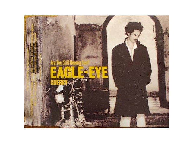 Eagle-Eye Cherry – Are You Still Having Fun?