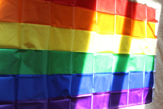 LGBT zastava Rainbow Stripe