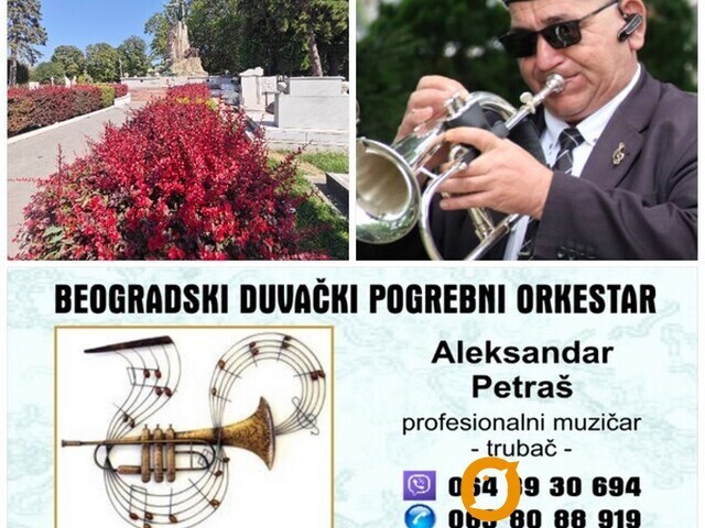 Solo truba,violina,hor ili orkestar za sahrane pogrebe