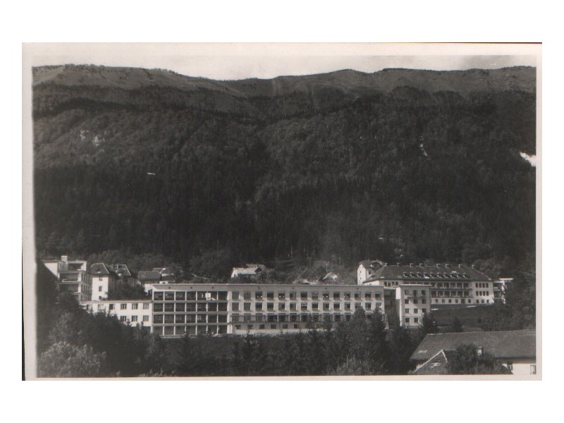 GOLNIK 1950 , SLOVENIJA