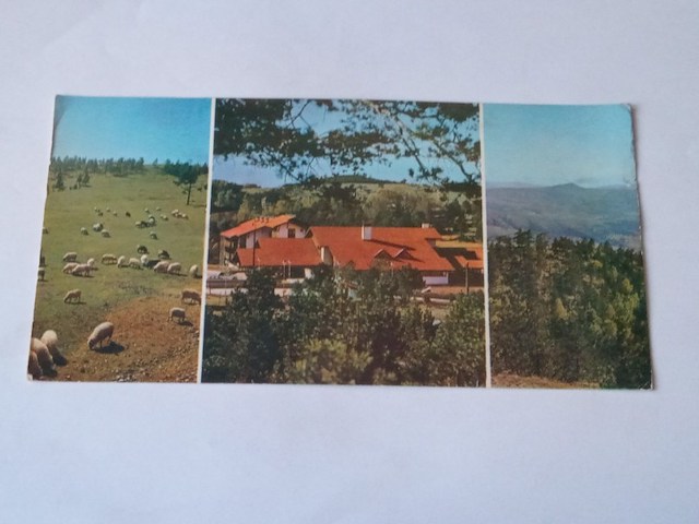 Divčibare - Hotel - Ovce Na Ispaši - Putovala 1972.g